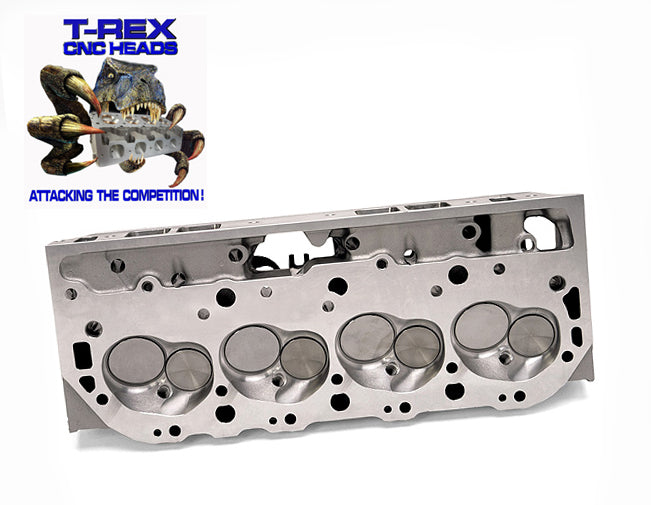 TREX BB EDELBROCK VICTOR CNC 5001 HEADS R/T| T-Rex Racing Engines